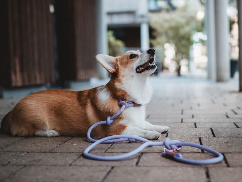 Maßgeschneidert nach Deinen Wünschen | 100 % Handarbeit