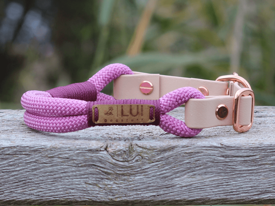 Verstellbares Halsband mit Adapter für maximale Flexibilität