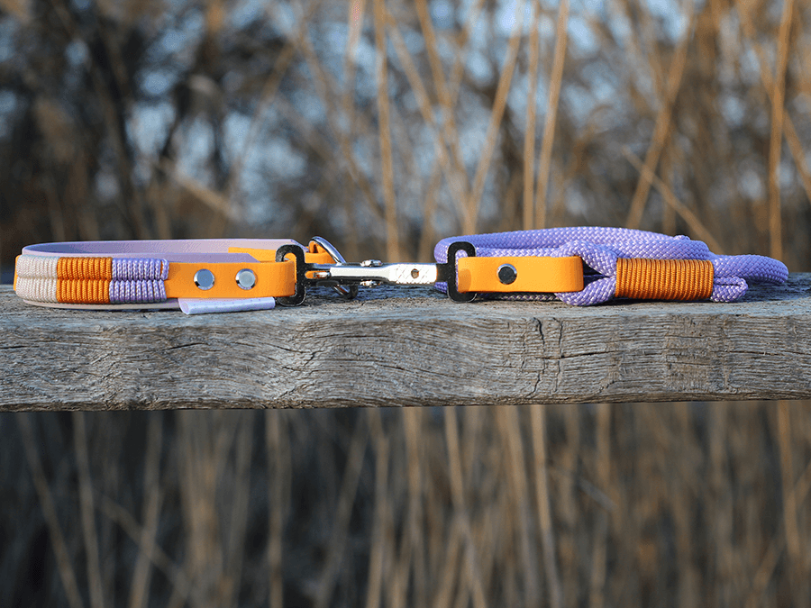 Leine Scharbeutz mit Jagdhaken – funktionale Leine für den Sport